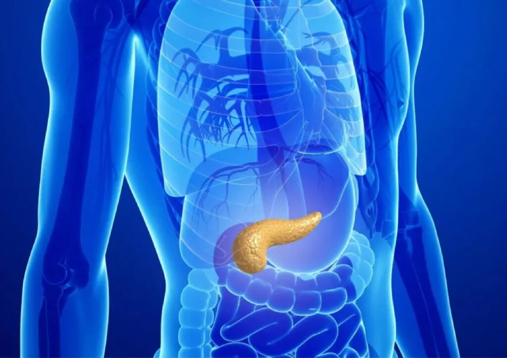 Dr. Mario Uribe – Cirugía Hepatobiliar y Carcinomatosis